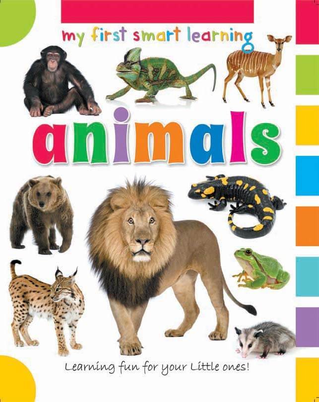 My First Smart Learning (25 Titles) - Catmint Books